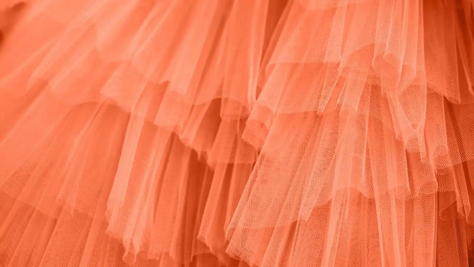 Ultimate Guide To Tulle